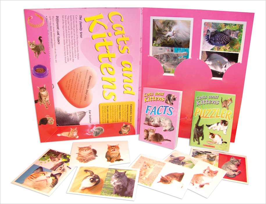 Cats and Kittens Fun Folder - Scholastic Shop