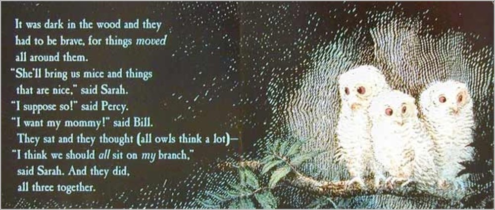 Owl Babies: Book and DVD - Scholastic Shop