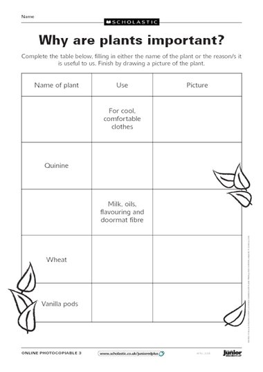 Plants and seeds: Why are plants important? – Primary KS2 teaching ...