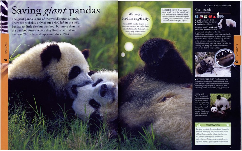 Animals: A Visual Encyclopedia - Scholastic Shop