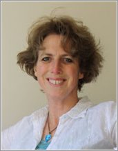 Sky Hawk - Scholastic Shop