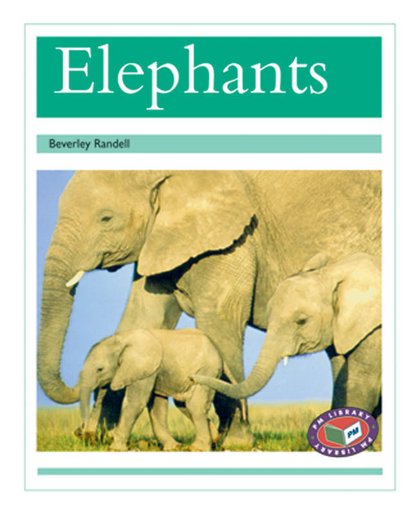 PM Turquoise: Elephants (PM Non-fiction) Levels 18, 19 - Scholastic Shop
