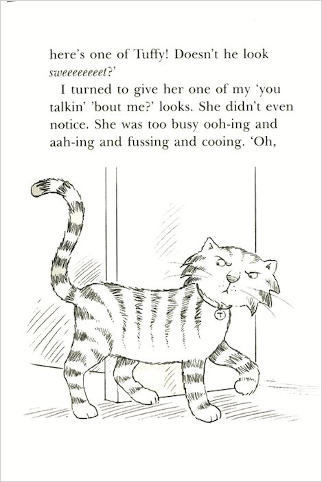 The Killer Cat Pack - Scholastic Shop