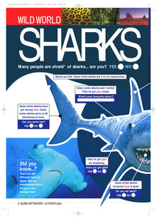 Sharks - Mary Glasgow Magazines