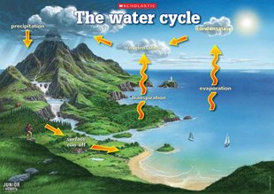 Water cycle – poster - Scholastic Shop