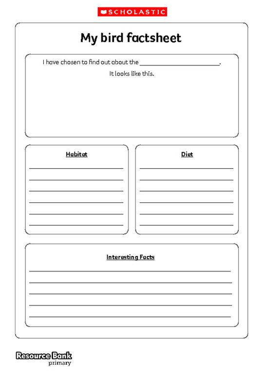 My bird factsheet - Scholastic Shop