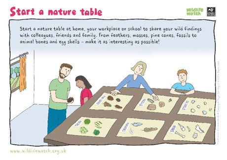 Wildlife activities for EYFS, KS1 and KS2 - Scholastic