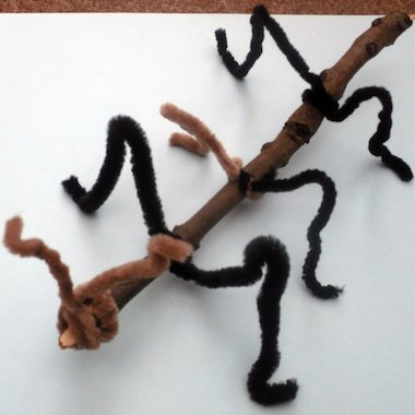 Minibeast safari – Early Years teaching resource - Scholastic