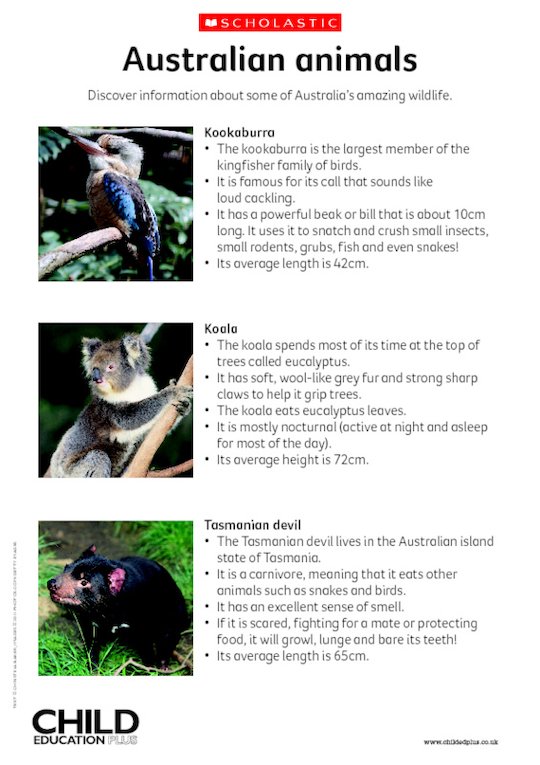 Australian animals factsheet - Scholastic Shop