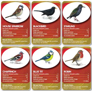 Bird Schools’ Birdwatch - Scholastic