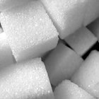 Food – Science (KS2) – Primary KS2 teaching resource - Scholastic