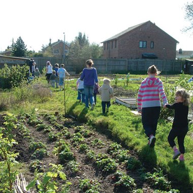 How does your garden grow…? - Scholastic