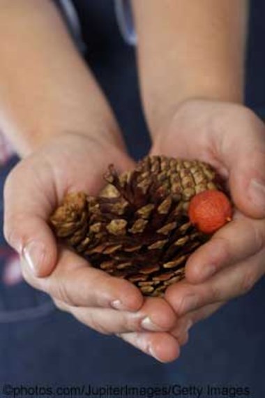 Autumn topics! - Scholastic