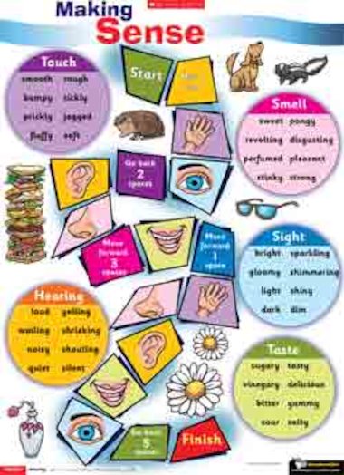 Making sense – FREE teaching resource - Scholastic