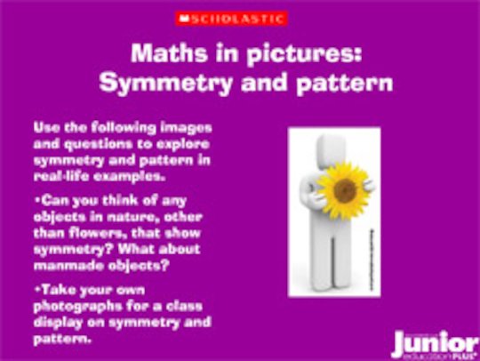 Maths in pictures: Symmetry and pattern - Scholastic Shop
