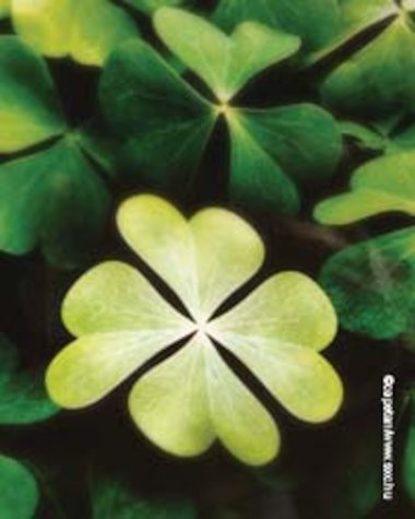 Cross curricular: Celebrating St Patrick’s Day – Primary KS2 teaching ...