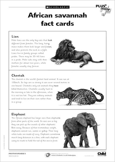 African savannah fact cards - Scholastic Shop