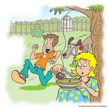 Story patterns – Primary KS1 & KS2 teaching resource - Scholastic