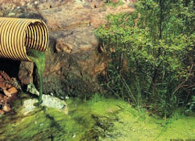 Writing workshop — Writing for different audiences – Primary KS2 ...