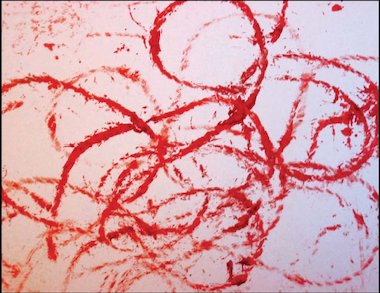 The thing about string – Early Years teaching resource - Scholastic