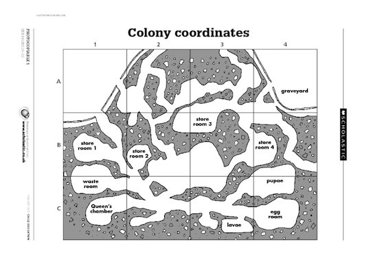 Colony coordinates - Scholastic Shop