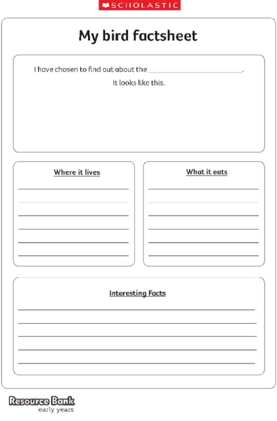 My bird factsheet - Scholastic Shop