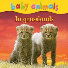 Baby Animals Pack - Scholastic Shop