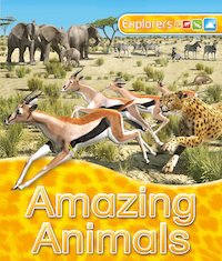 Explorers: Animals Pair - Scholastic Shop