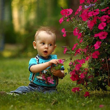 Summertime activities for babies – Early Years teaching resource ...