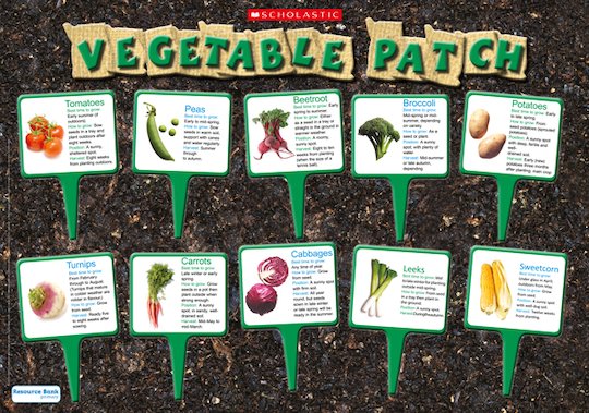 Vegetable patch – poster - Scholastic Shop