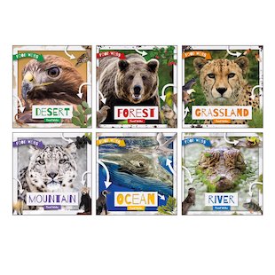 Food Webs Pack x 6 - Scholastic Shop
