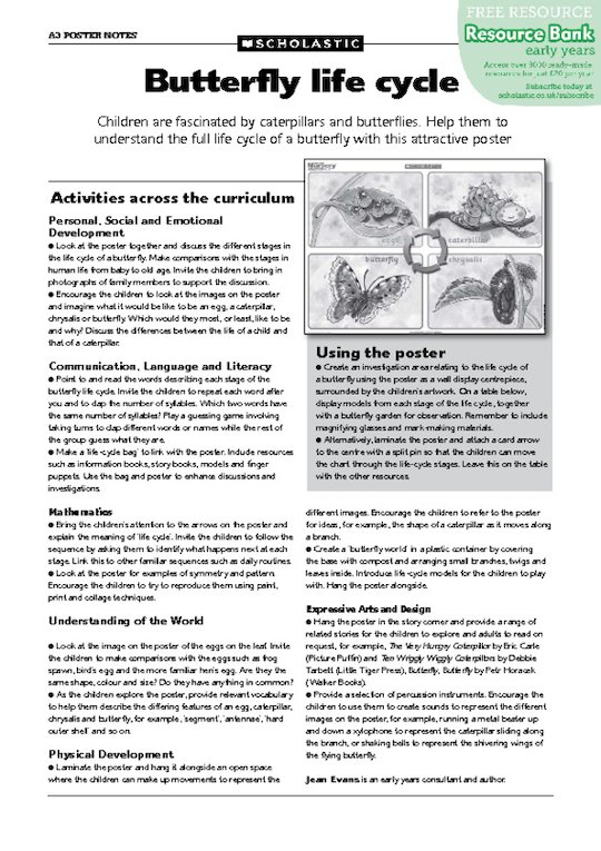 Life cycle of a butterfly – activities - Scholastic Shop