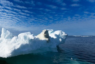 Climate Change Investigators – Primary KS2 teaching resource - Scholastic