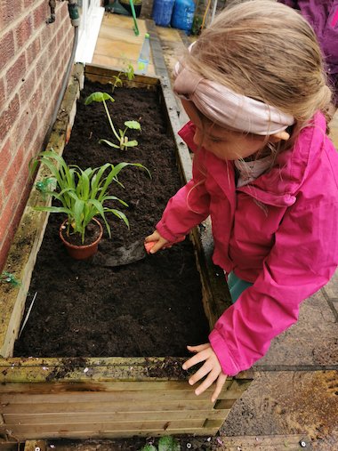 Garden Wildlife Week – Activities for Key Stages 1 & 2 – Early Years ...