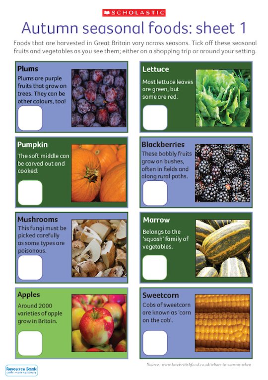 Autumn scavenger hunt: seasonal foods - Scholastic Shop